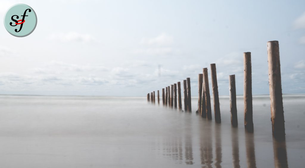 Reviewing the purpose of the Sea of Faith Network - Sea of Faith Network